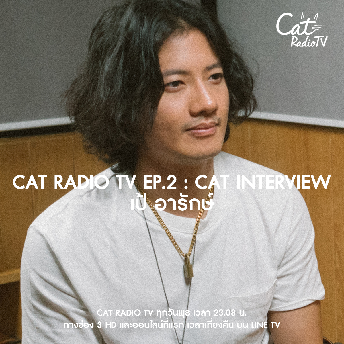 Cat Interview 