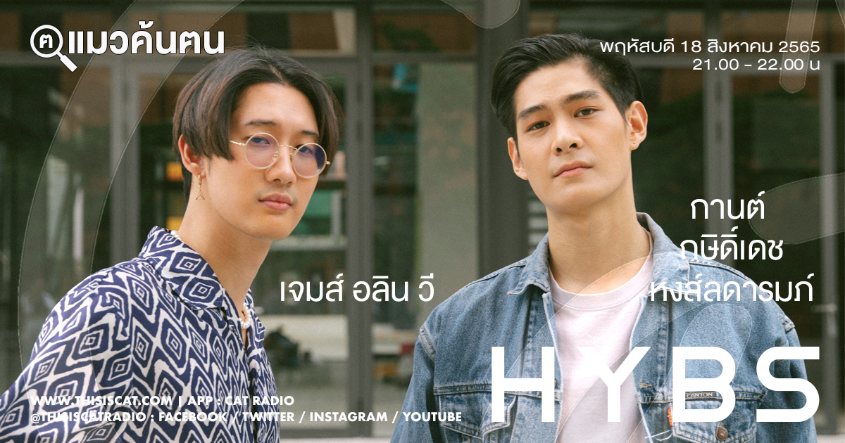 แมวค้น HYBS